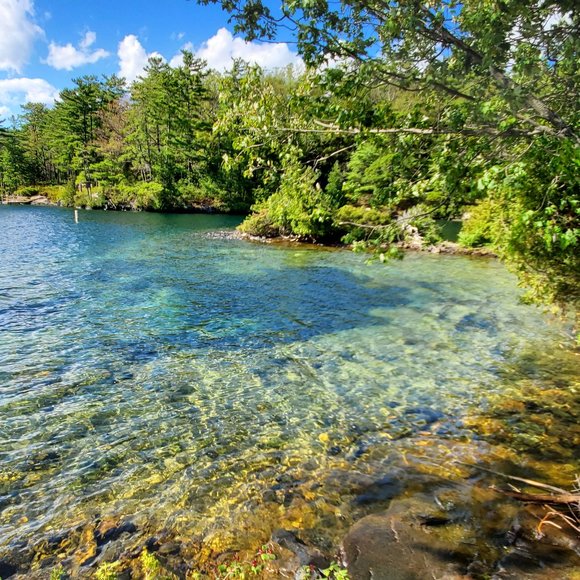 Jewelry | Jewelry Show 623 | Poshmark